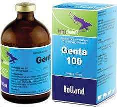 Genta Intas Gentamycin Injection In Tanzania | Yebi Health