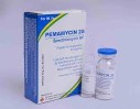 Vendors Selling Pemamycin Spectinomycin Injection | Yebi Health
